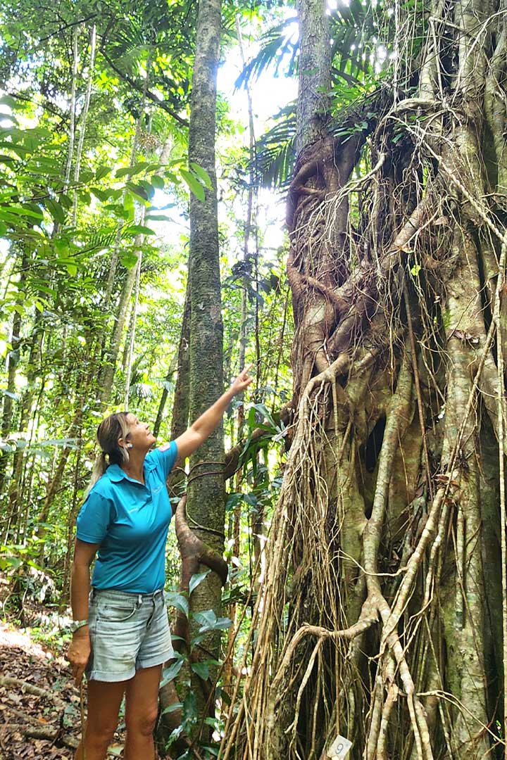 Contact Us - Driftwood Tours