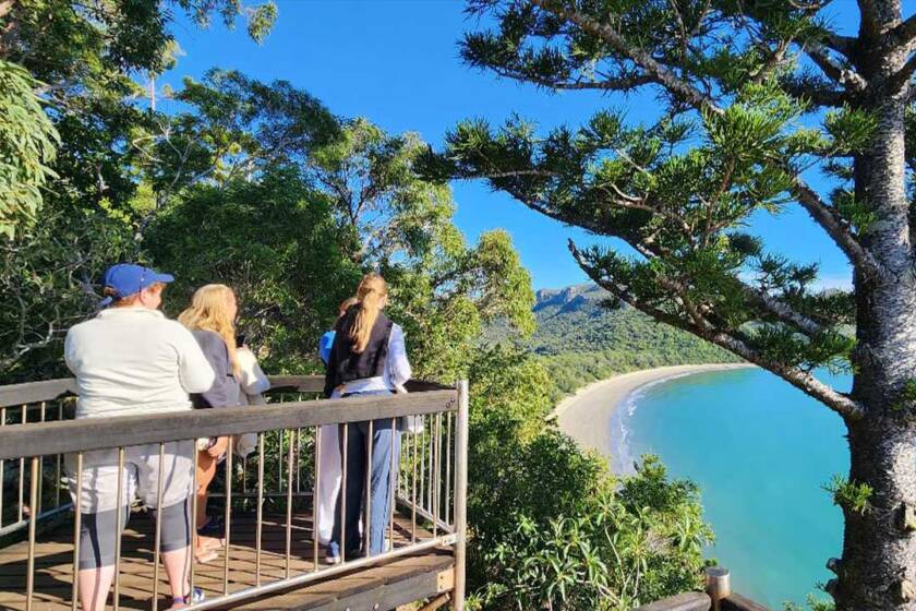 Sunrise with the Kangaroos and Wallabies - Driftwood Tours