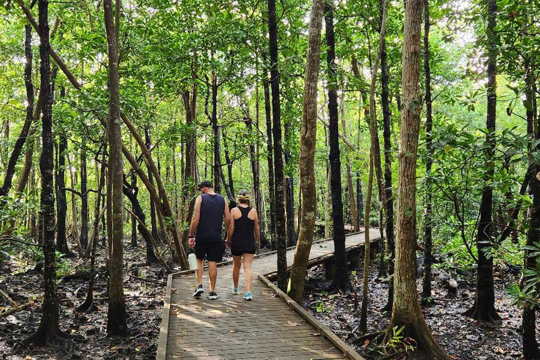 Sunrise with the Kangaroos and Wallabies - Driftwood Tours